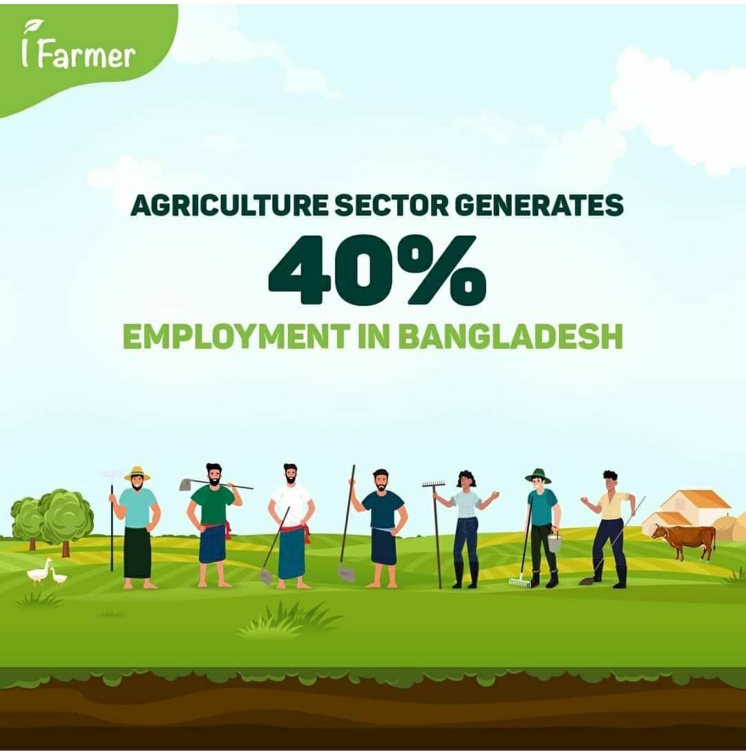 iFarmer is Creating a New Model For Empowering Farmers - Future Startup